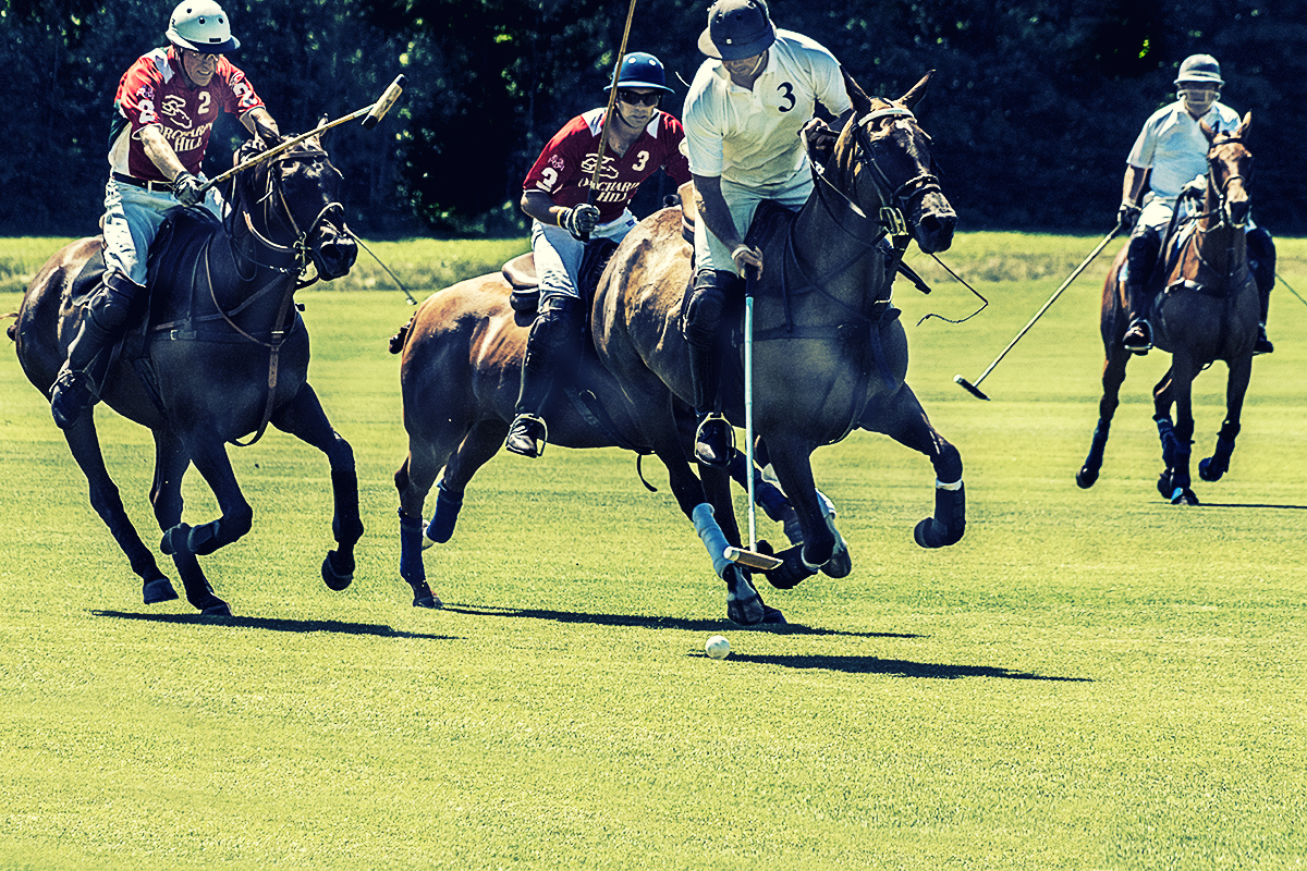 Hard Fought Game | Shutterbug